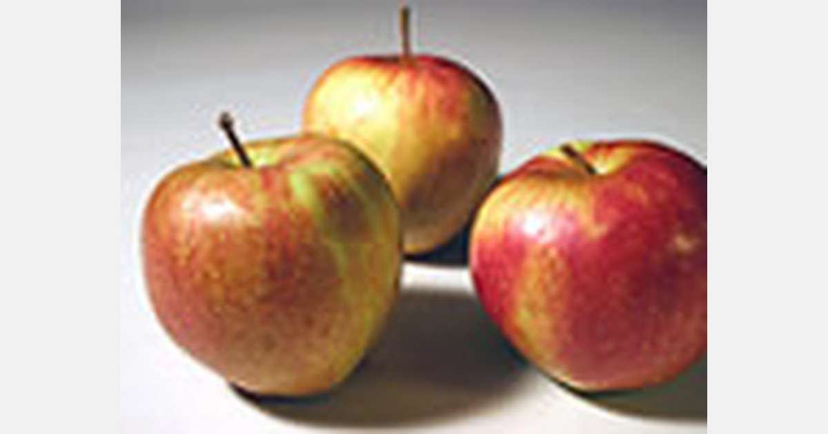 Landelijke afstemming hardfruit op 6 oktober