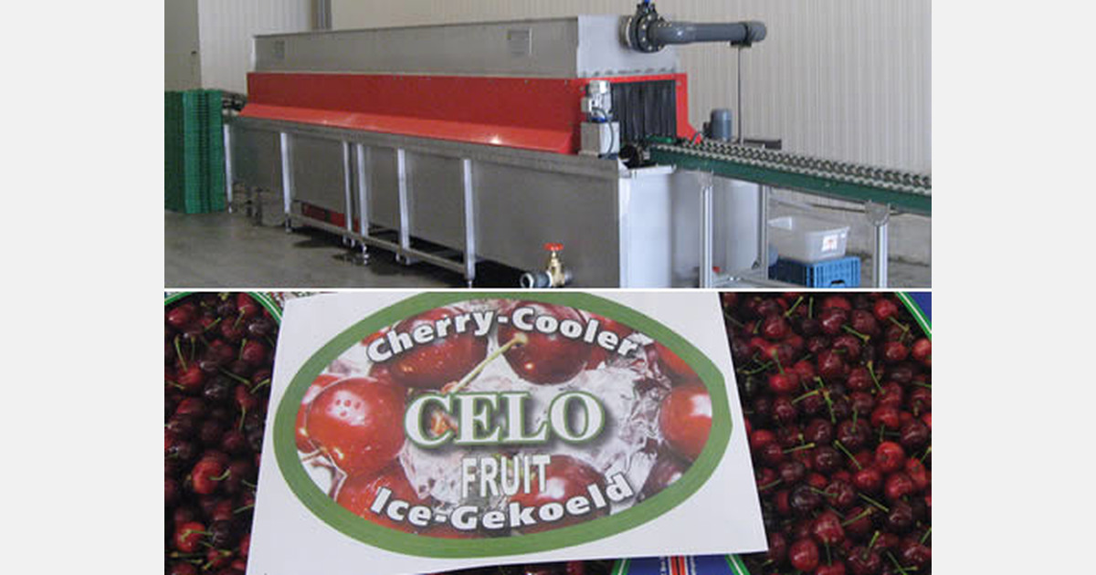 Bex Fruit investeert in Cherry Cooler van Stas Belgium