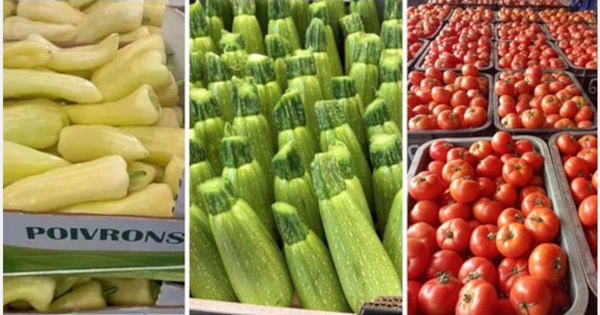 Meer Marokkaanse AGF-exporteurs betreden Europese markt