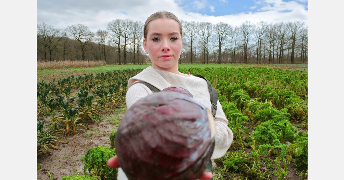 Nieuwe opleiding Aeres Velp: Niveau 3 Biologische teelt