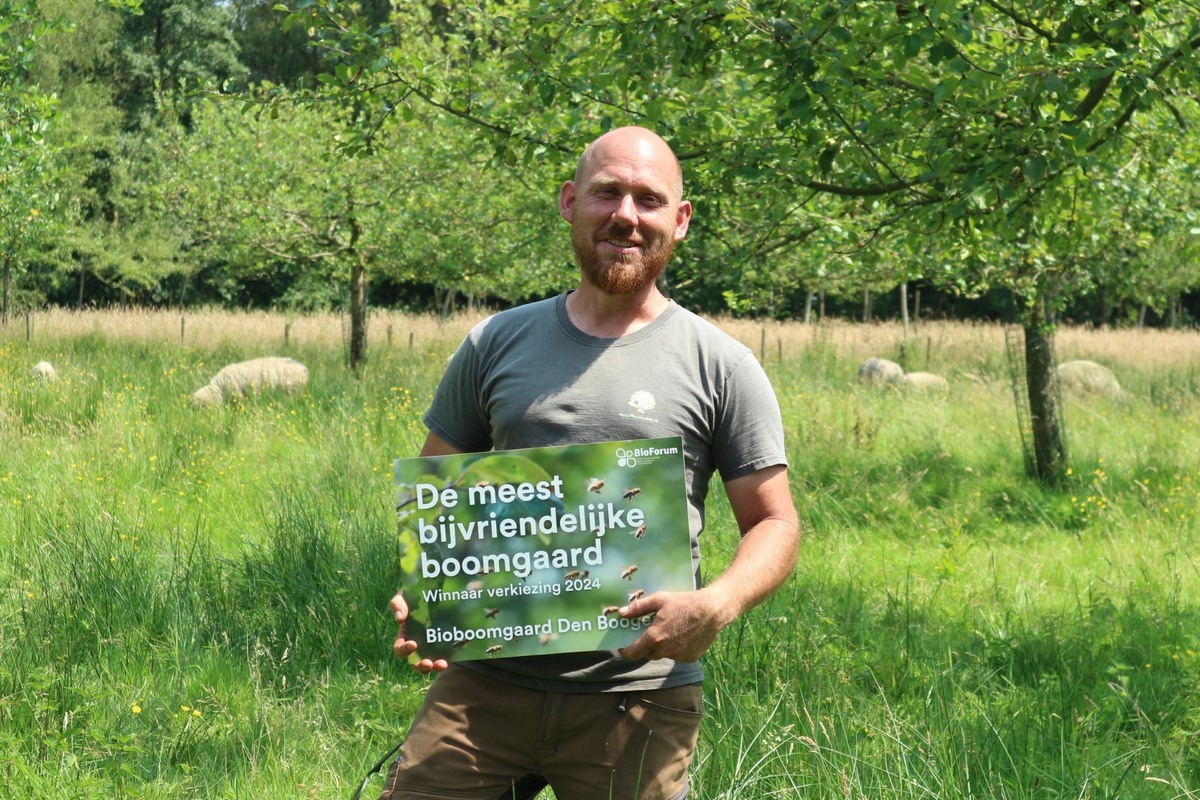 Maarten Gelders uit Halen heeft de 'meest bijvriendelijke boomgaard'