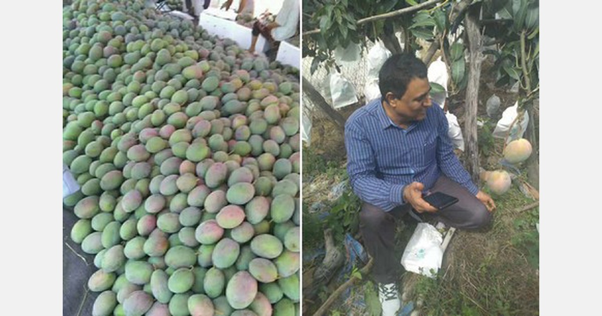 Keith-mango's populair in China