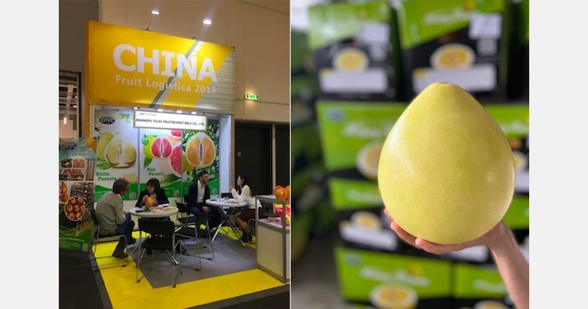 "Het exportseizoen Chinese pomelo's heeft vertraging opgelopen"