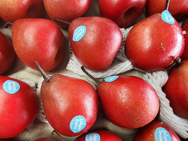 Nieuw-Zeelandse rode peer PiqaBoo is een hot seller in China