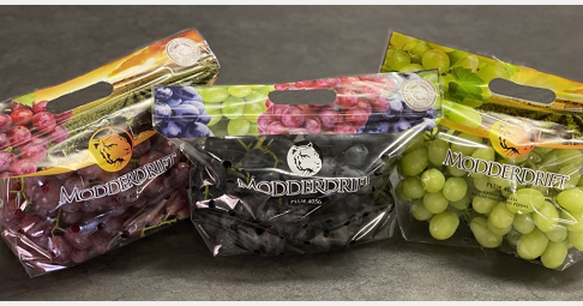 Druiventelers in Zuid-Afrikaanse regio Hex River maken haast met oogst ...