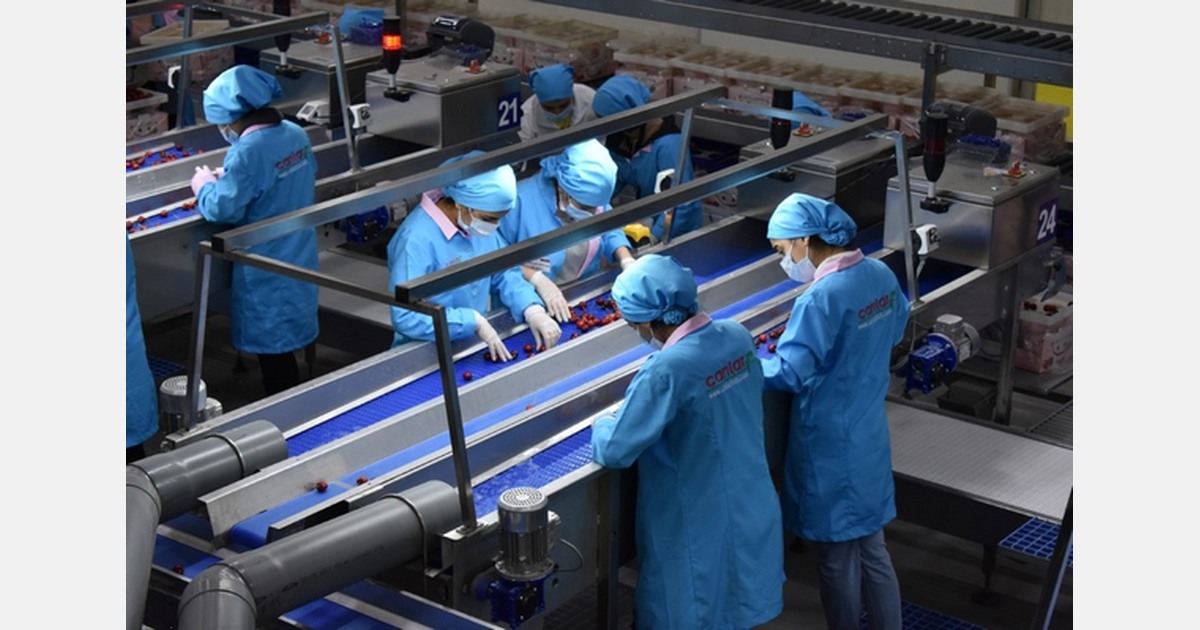 Lokale vraag naar Turkse kersen was sterk maar in sommige landen ...