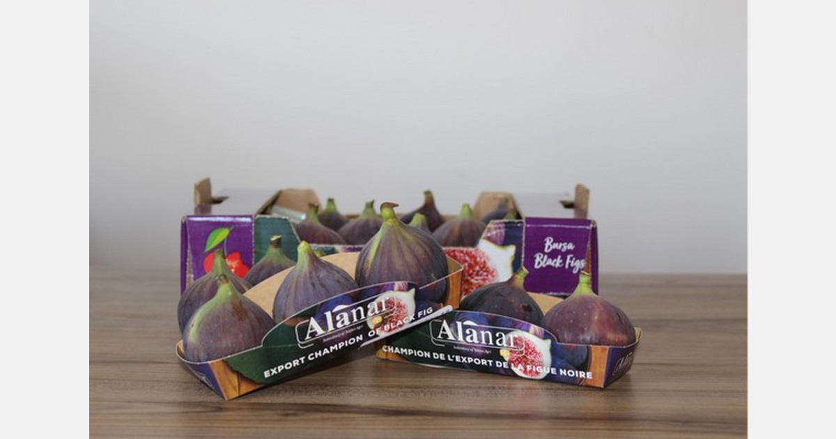 "Enorme vraag naar Turkse kersen op Chinese markt"