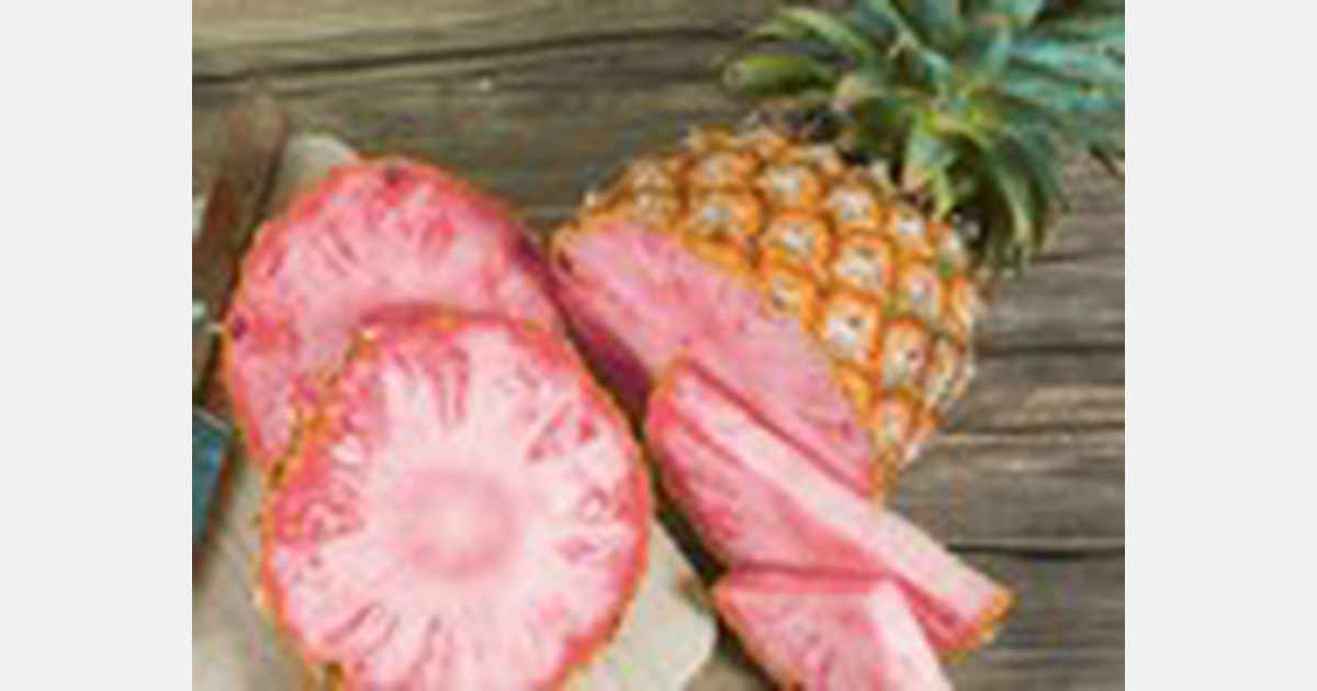 Del Monte teelt roze ananas in Costa Rica