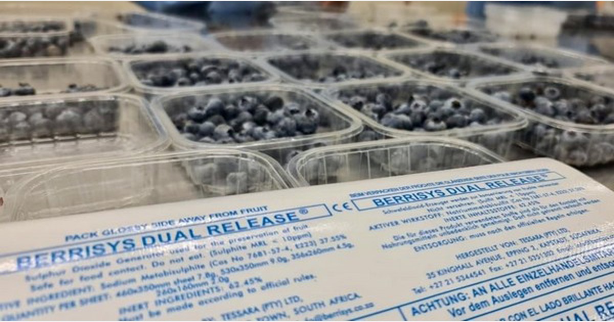 Tessara introduceert nieuwe producten in verschillende landen