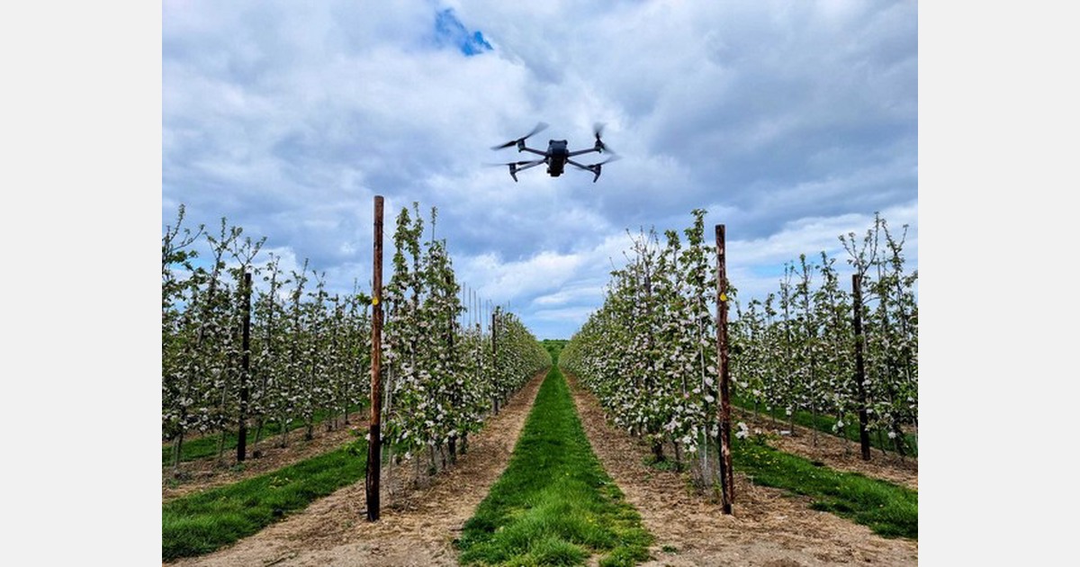 "Drones boomgaard laten controleren bespaart manuren"