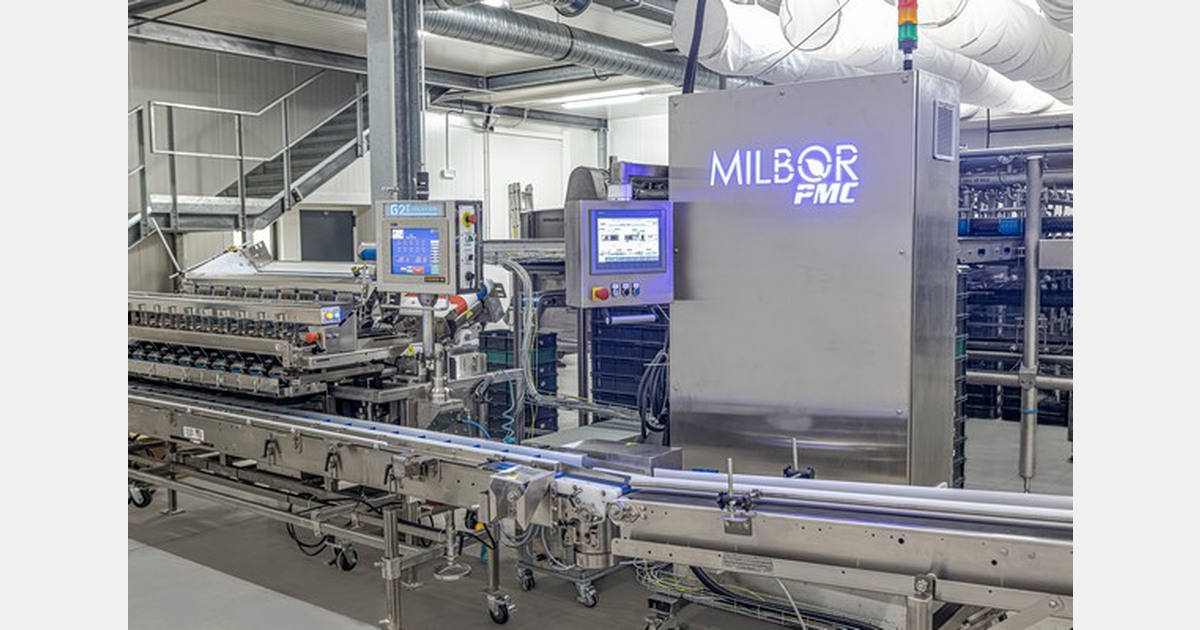 Zoeken naar marges in verpakking van blauwe bessen