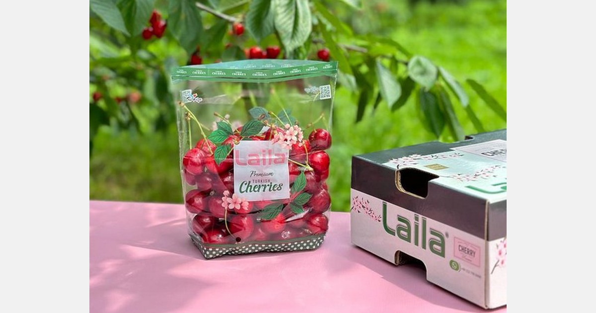 Lagere prijzen voor Turkse kersen verwacht