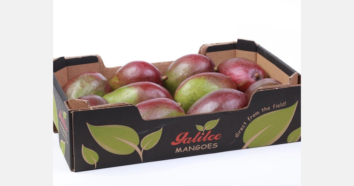 "Vanuit Israël zien we een sterke ready-to-eat mango trend in Europa"