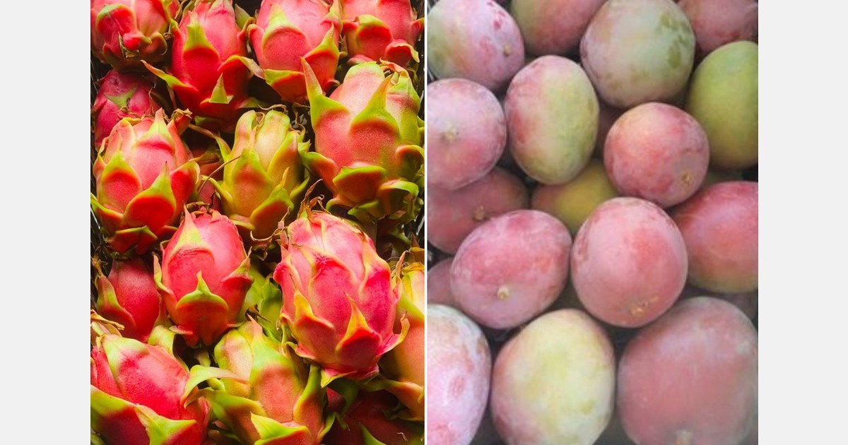 Ondanks daling Marokkaanse fruitoogst geen hogere import