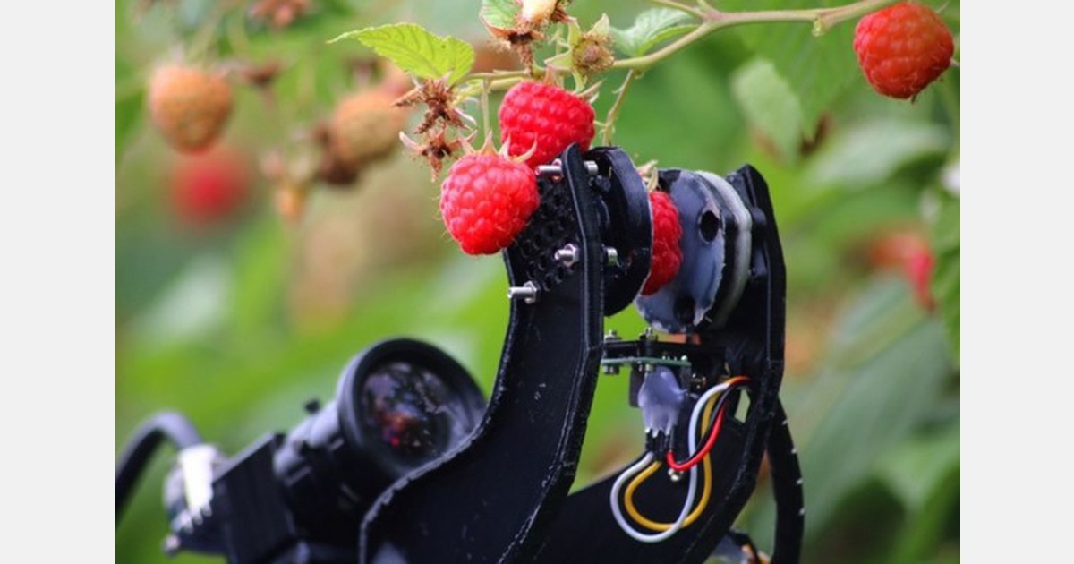£1,1 mln subsidie voor BerryBot oogstrobot