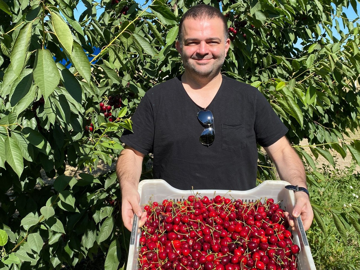 Turken verwachten groot uitvallende kersen