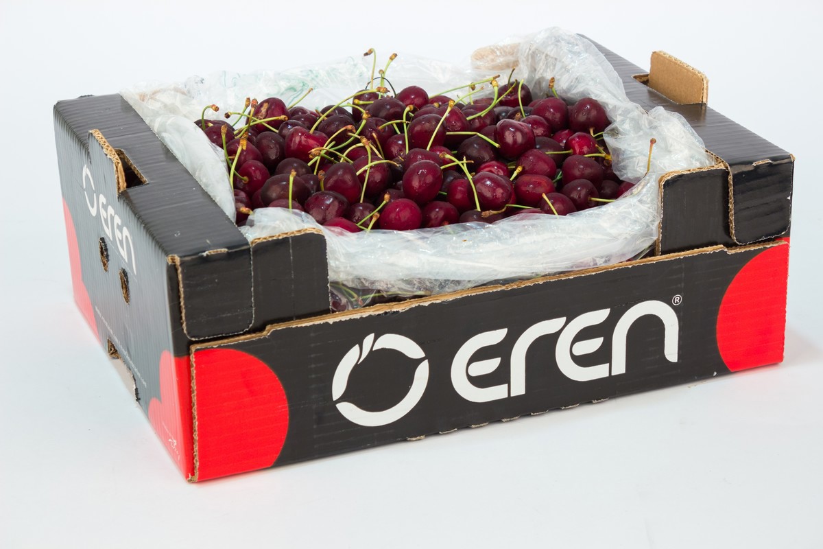 Grote oogst Turks kersen verwacht