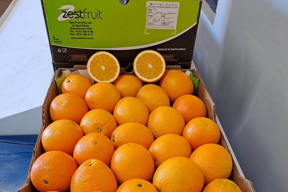 "Meer Zuid-Afrikaanse citrusexporteurs sturen fruit naar Rusland"