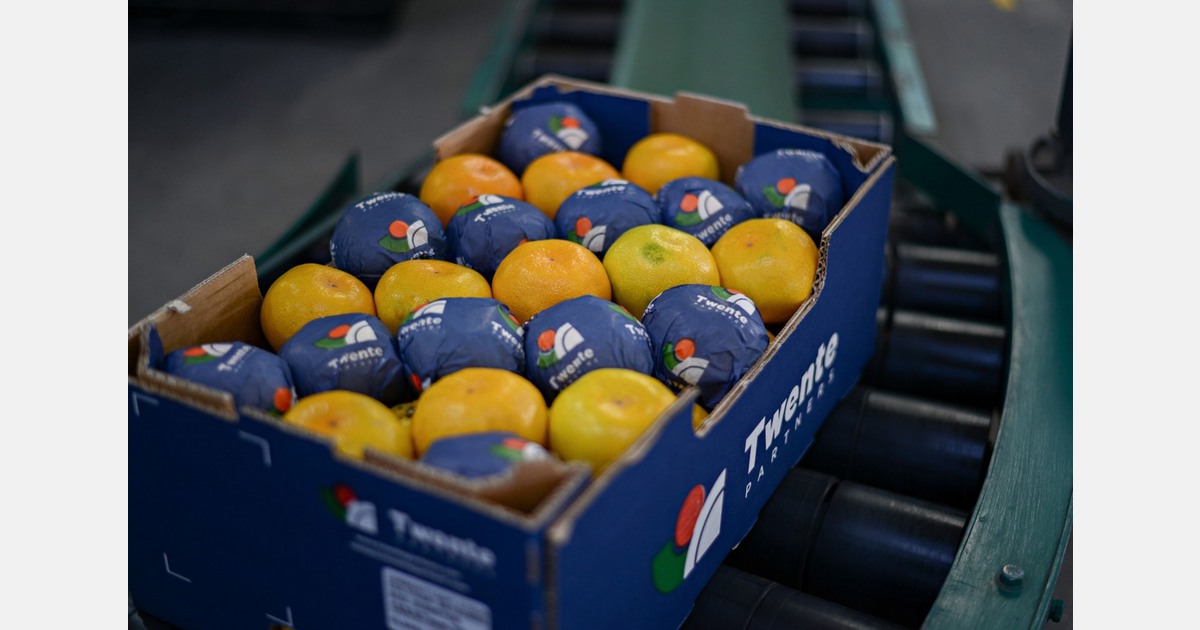 "Citrusseizoen in Sunday's River Valley verloopt goed tot nu toe"