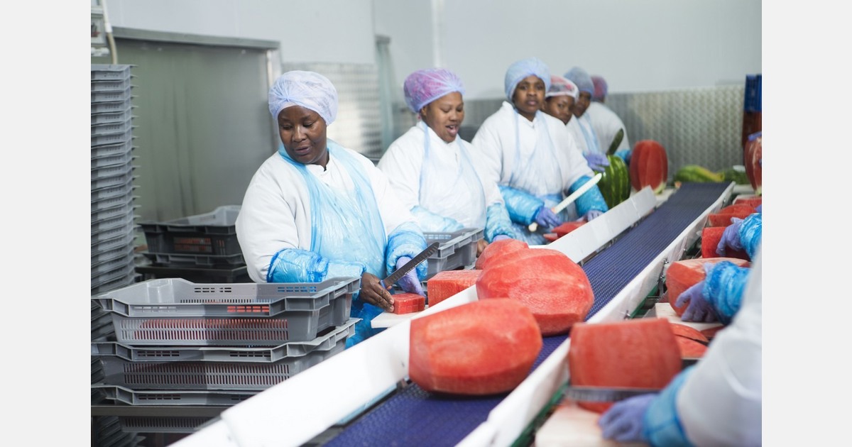 "Dagelijks meer dan 25 ton gesneden fruit uit Zuid-Afrika naar Europa"