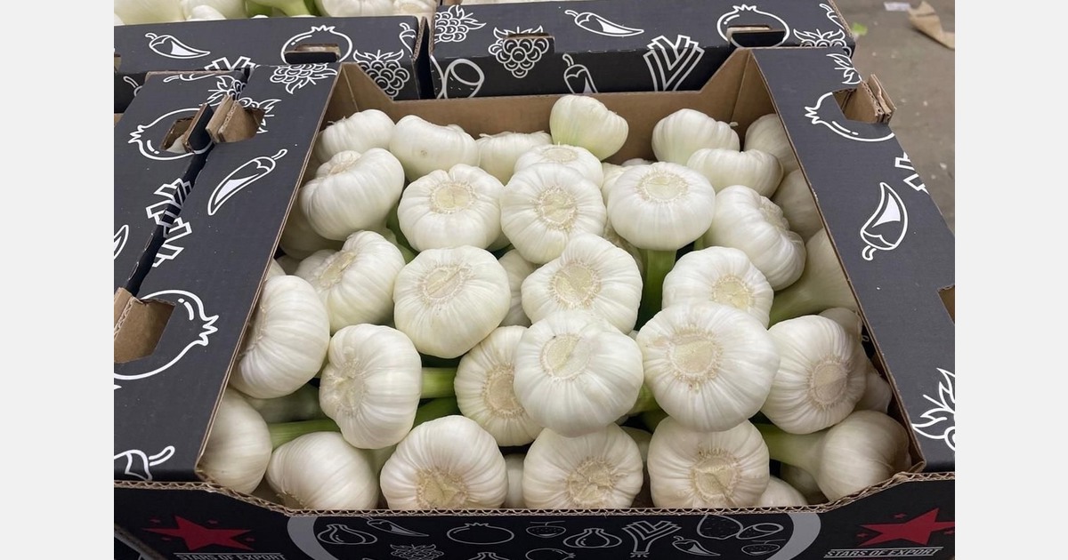 "Hoge prijzen voor Zuid-Afrikaanse groene knoflook doen vraag omslaan ...