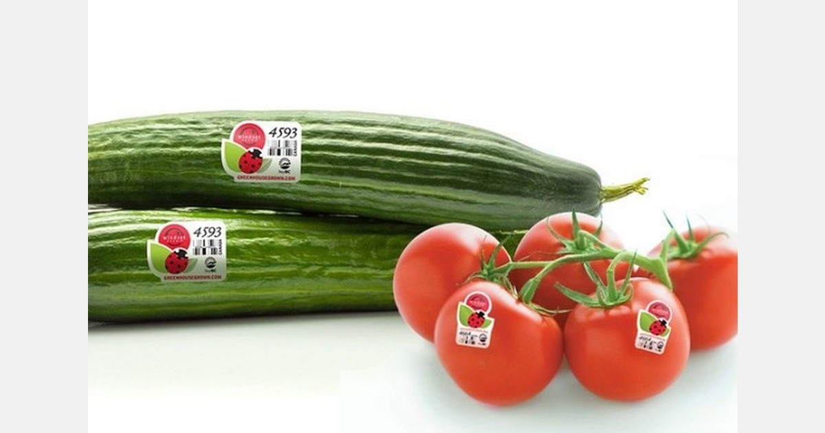 Hoe kleine PLU-sticker grote oplossing biedt