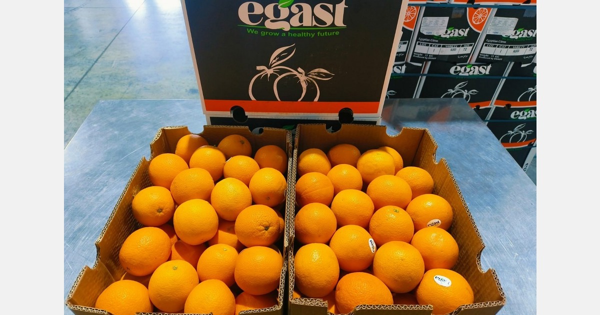 "Zuid-Afrikaans en Egyptisch citrus blijven het populairst in India"