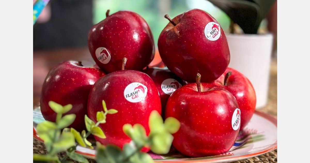 Export Flash Gala appelen naar één miljoen kartons