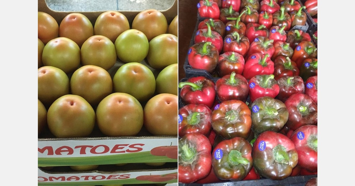 "Marokkaanse AGF meest aanwezig op de West-Afrikaanse markt"