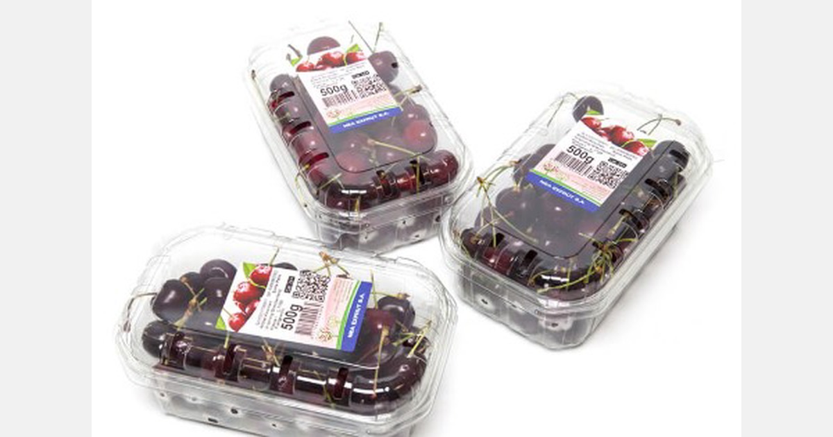 "Eerste Griekse kersen op de markt"