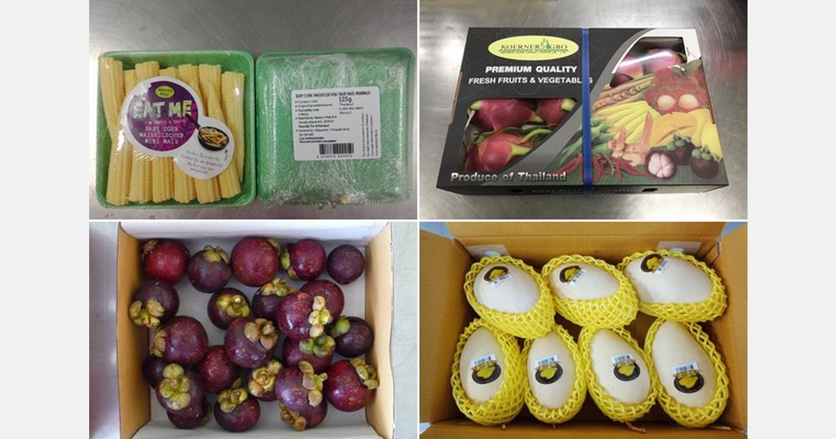 "Klimaatverandering heeft de import van Thaise exoten aanzienlijk beïnvloed"