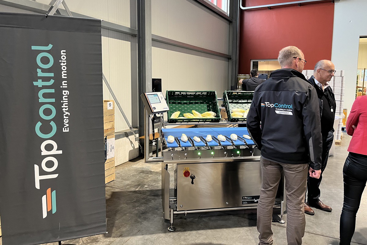 "Vanaf 2025 nieuwe gewasbeschermingsmiddelen nodig in witlofsector"