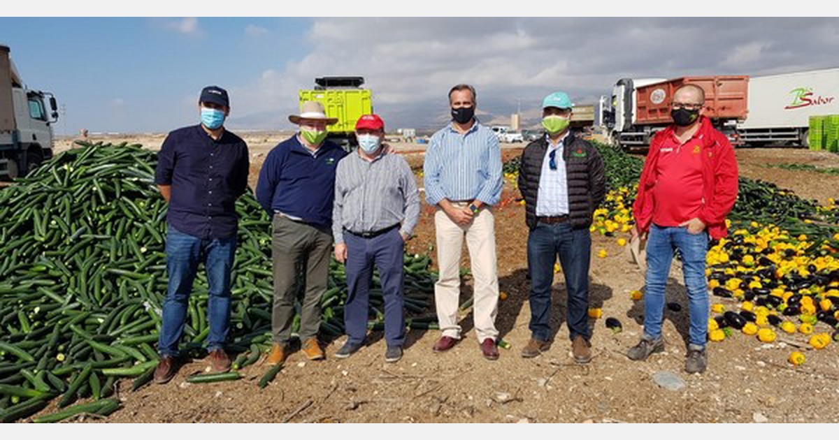 Loogman failliet, Spaanse groenten gestort en Ger, Erik, Dolf en Gert ...
