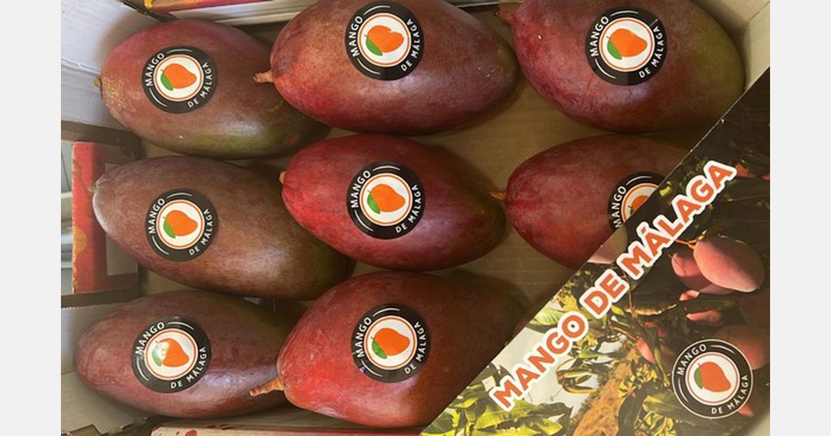 Collectief merk voor mango's uit Malaga