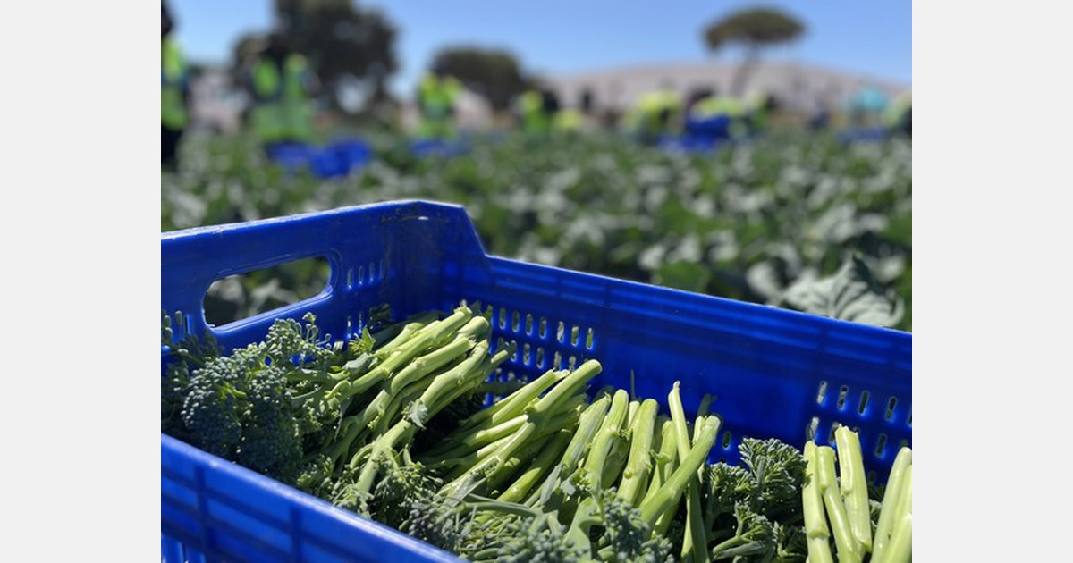 Murcia marktleider met Bimi