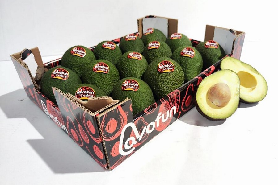 "Huelva heeft potentieel voor de teelt van avocado's"