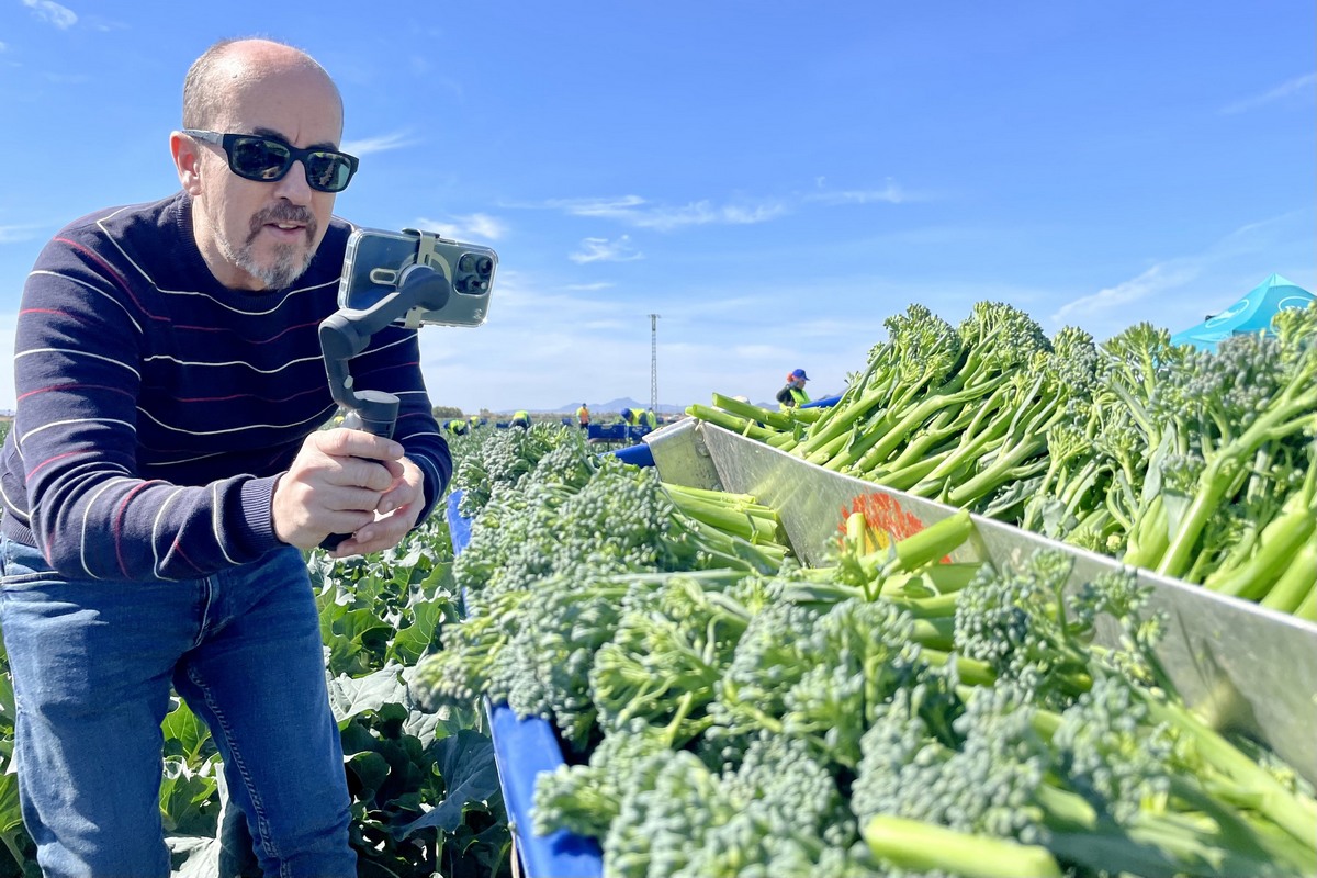 Murcia is de grootste exporteur van Bimi