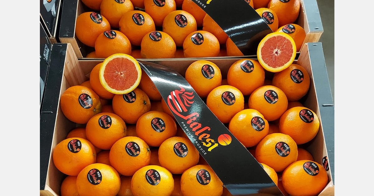 "Valencia Ruby bloedsinaasappel uit Spanje is onderscheidend product in deze tijd van het jaar"