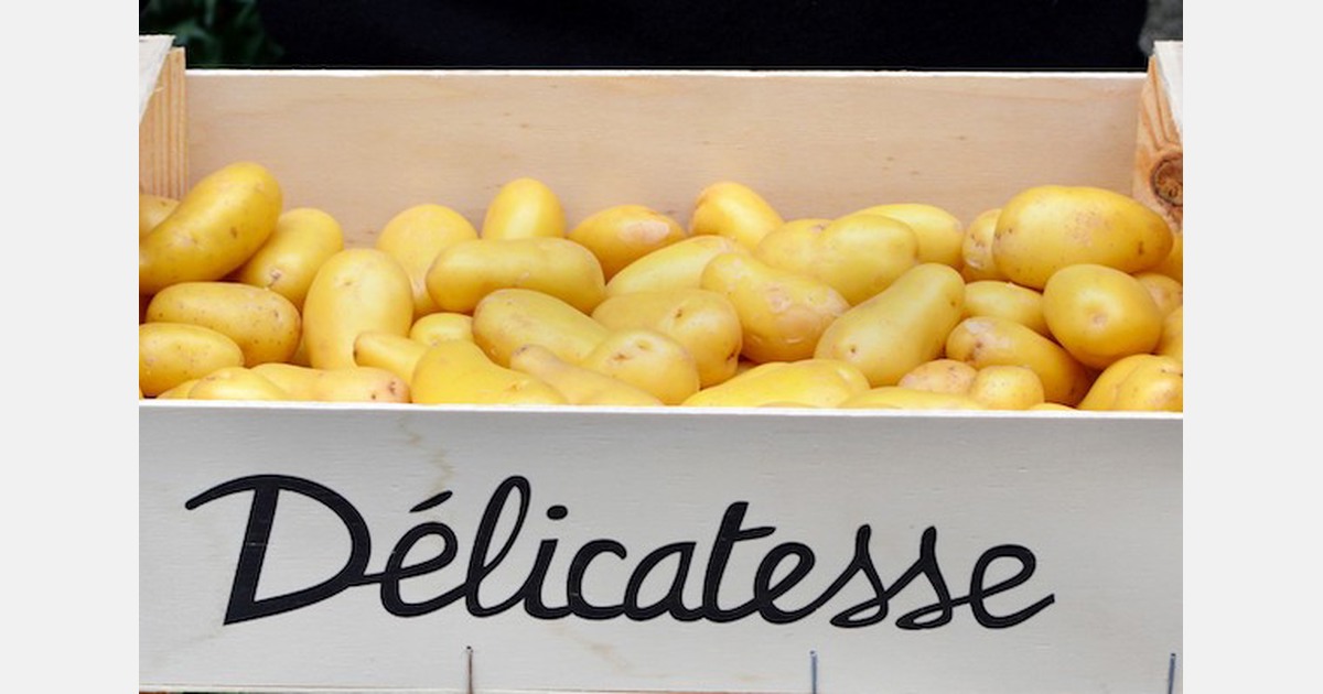 "De Franse Delicatesse-aardappel in een mum van tijd bekend geworden"