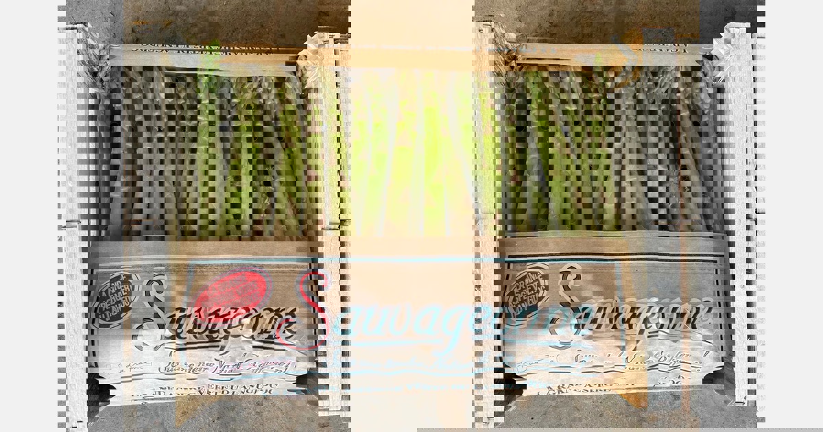 "Wij onderscheiden ons door enkel groene asperges te telen"