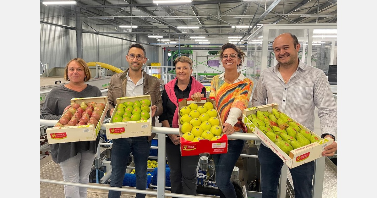 Nieuwe sorteerlijn voor Franse Fruits & Compagnie