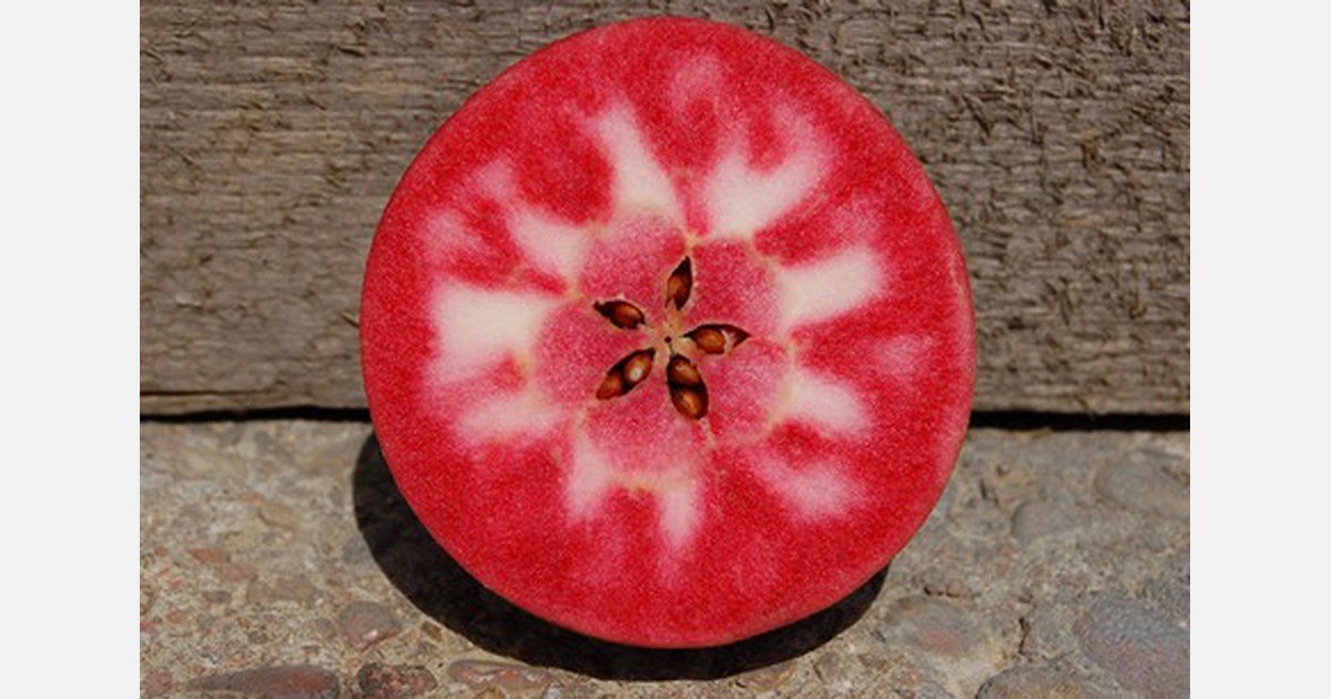 Italië: fruit met rood vruchtvlees in opkomst