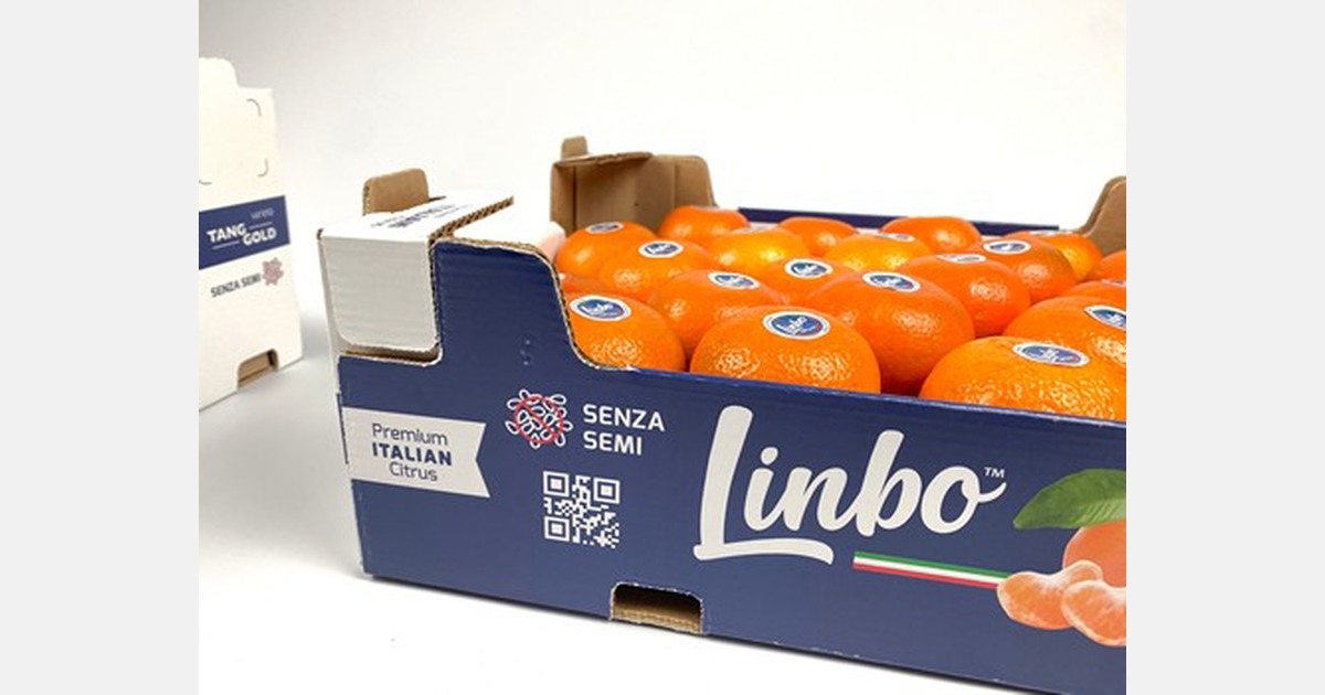 Oogst Linbo mandarijnen over anderhalve maand van start