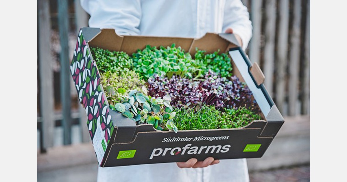 Microgroenten van vertical farm Zuid-Tirol