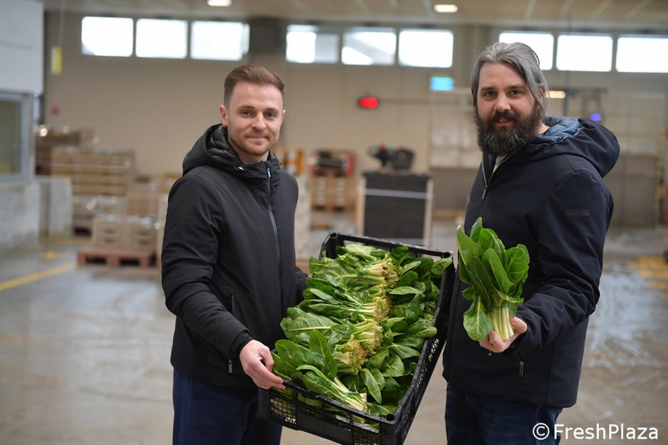 "Schommelingen op groentemarkt maken het er niet gemakkelijker op"