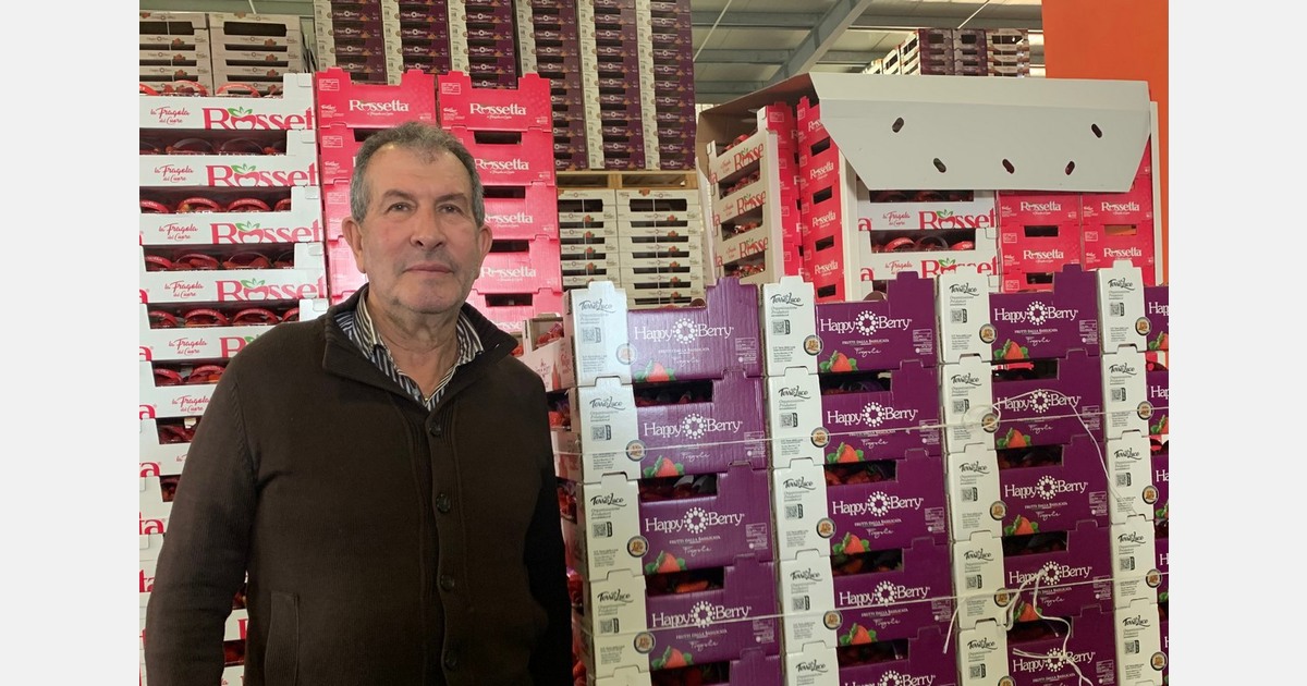 "Afstemming vraag en aanbod aardbeien moet beter"