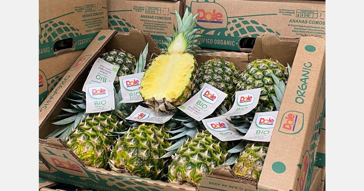 "AGF-markt vereist voortdurend aanpassingsvermogen"