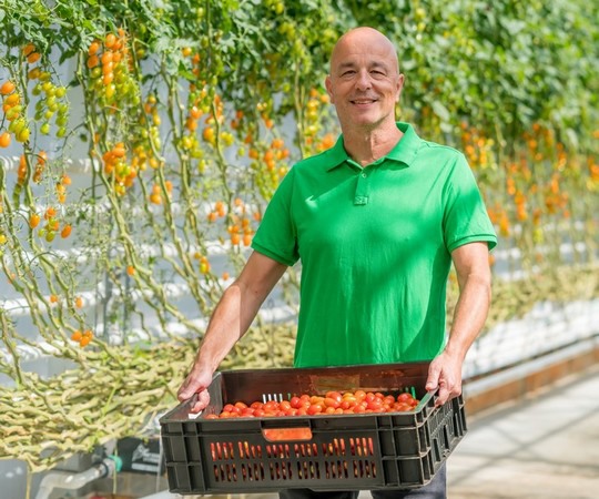 Snoeptomatenteler Vitensa maakt overstap naar biologische glasgroenten