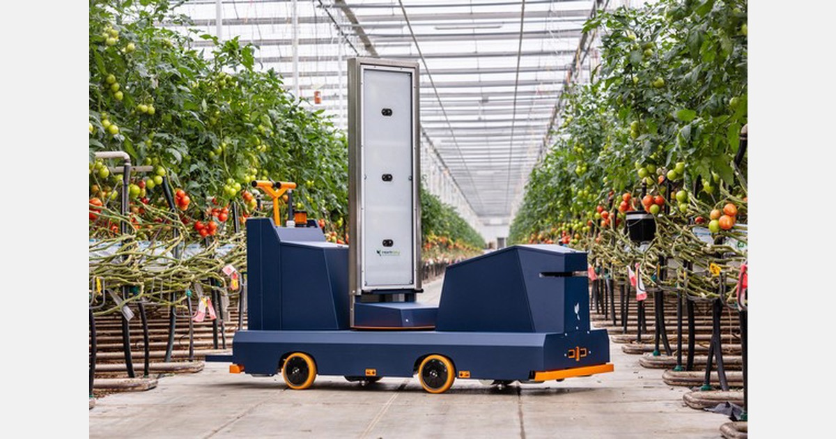 Robot druk bezig met voorspellen opbrengst viertal tomatenrassen