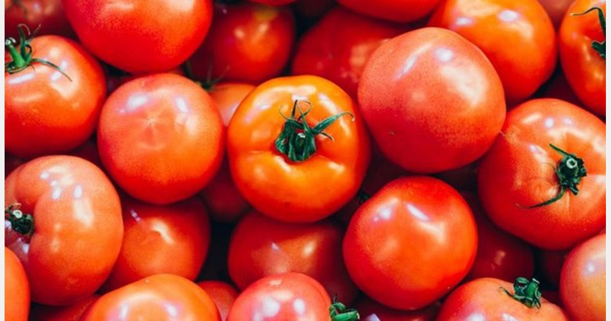 Sneller en betrouwbaarder de versheid en houdbaarheid van een tomaat meten